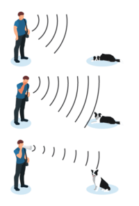 The Future of Mesh Technology - Smartrek