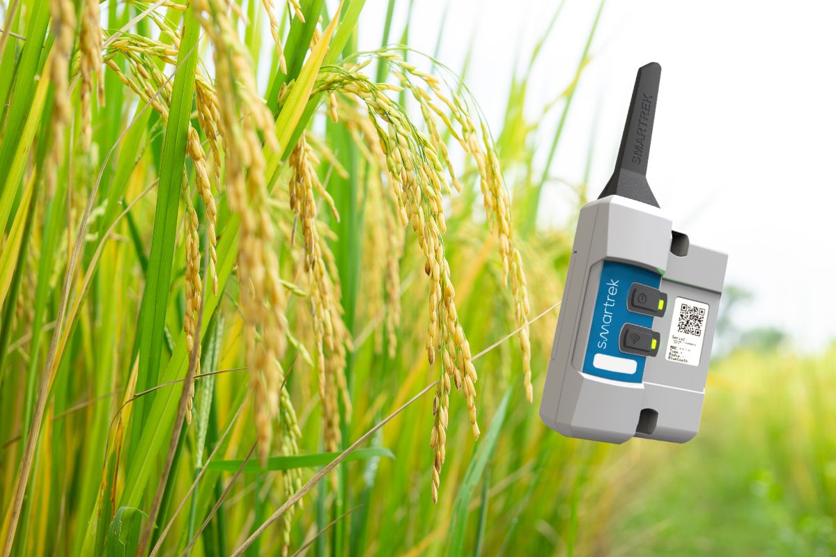 Wireless Technology and Agriculture - Smartrek