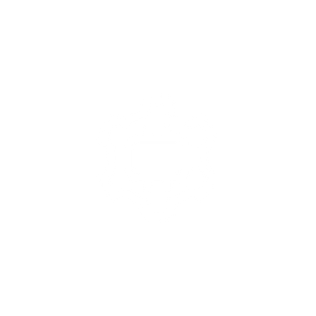 An accessible and innovative IoT technology - Smartrek